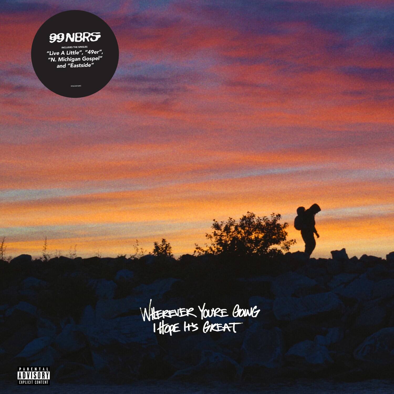 99 Neighbors Wherever You're Going I Hope I VINYL LP - Best Buy