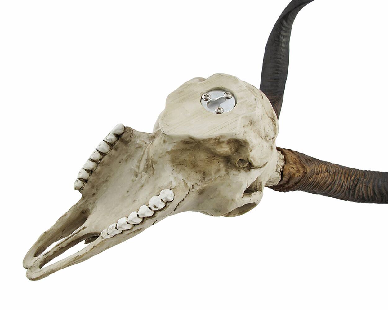 Veronese Design African Kudu Antelope Skull Wall Hanging Cool Twisted ...