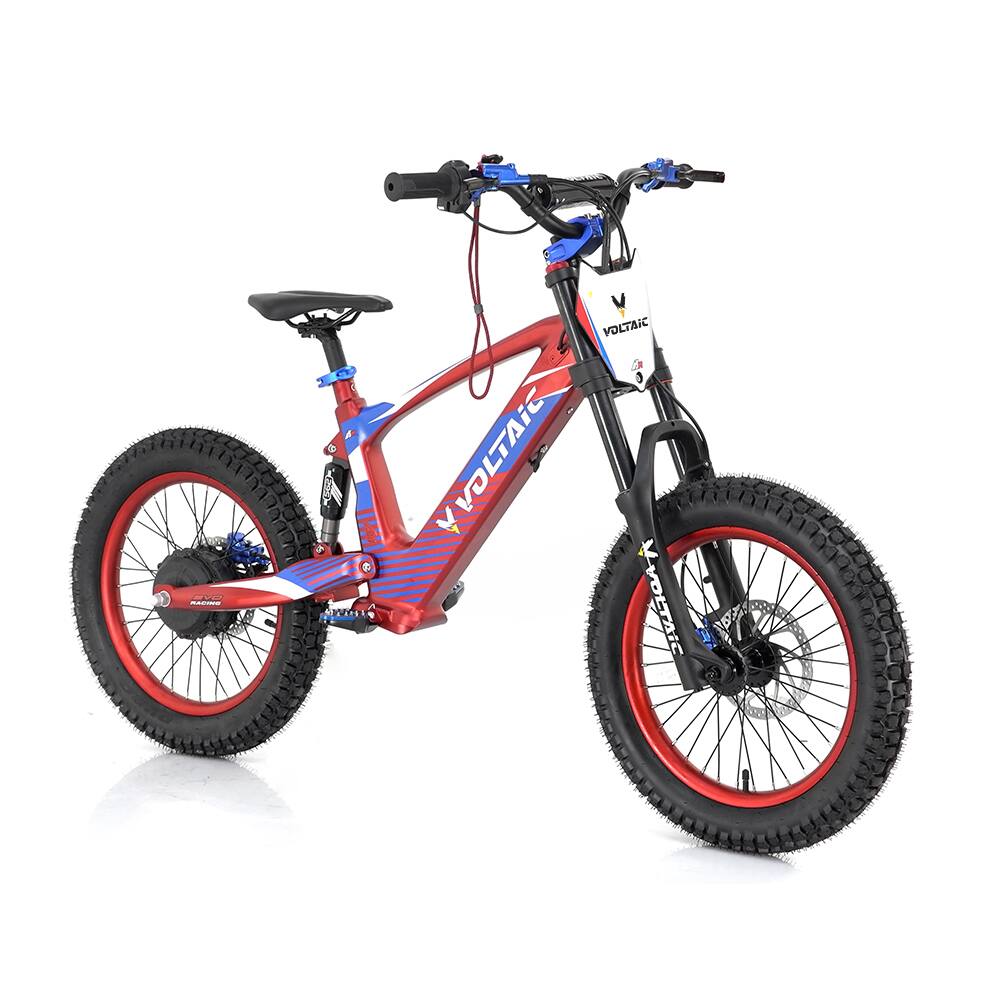 Voltaic Youth Electric Dirt Bike 18'' Flying Fox Red VKD-18RE - Best Buy