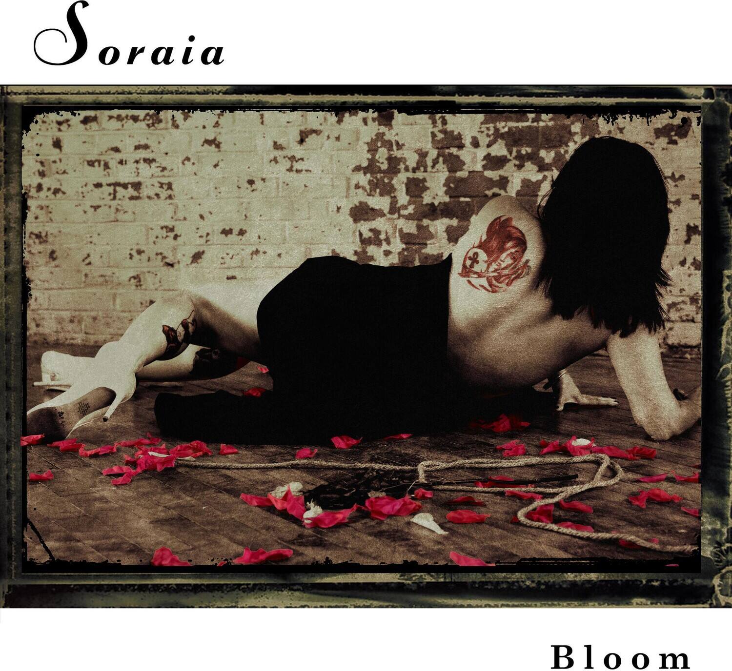 Soraia BLOOM COMPACT DISCS [CD] - Best Buy