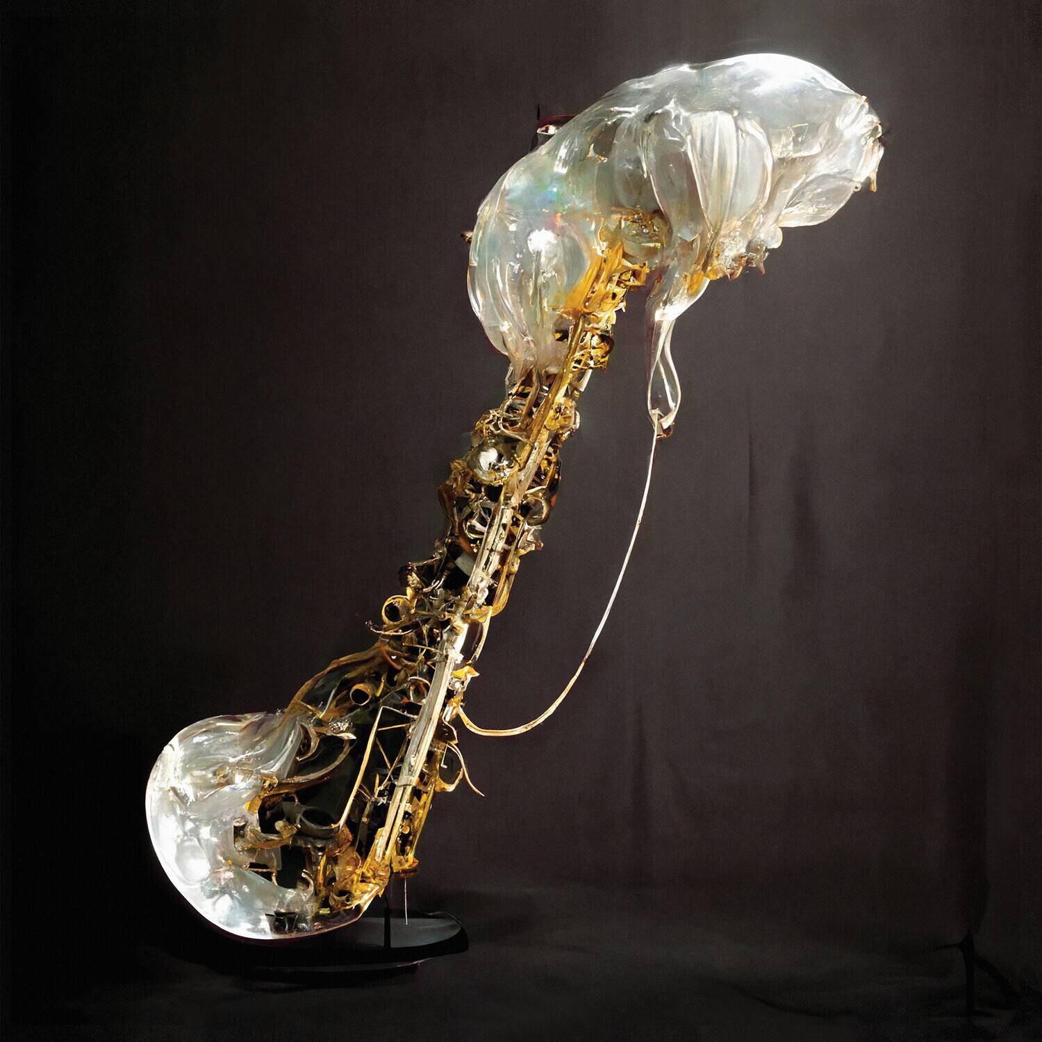 Sam Gendel Cookup COMPACT DISCS [CD] - Best Buy