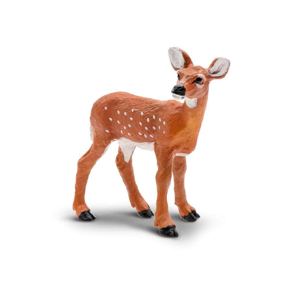 Safari Ltd. Whitetail Fawn Toy Figurine - Best Buy