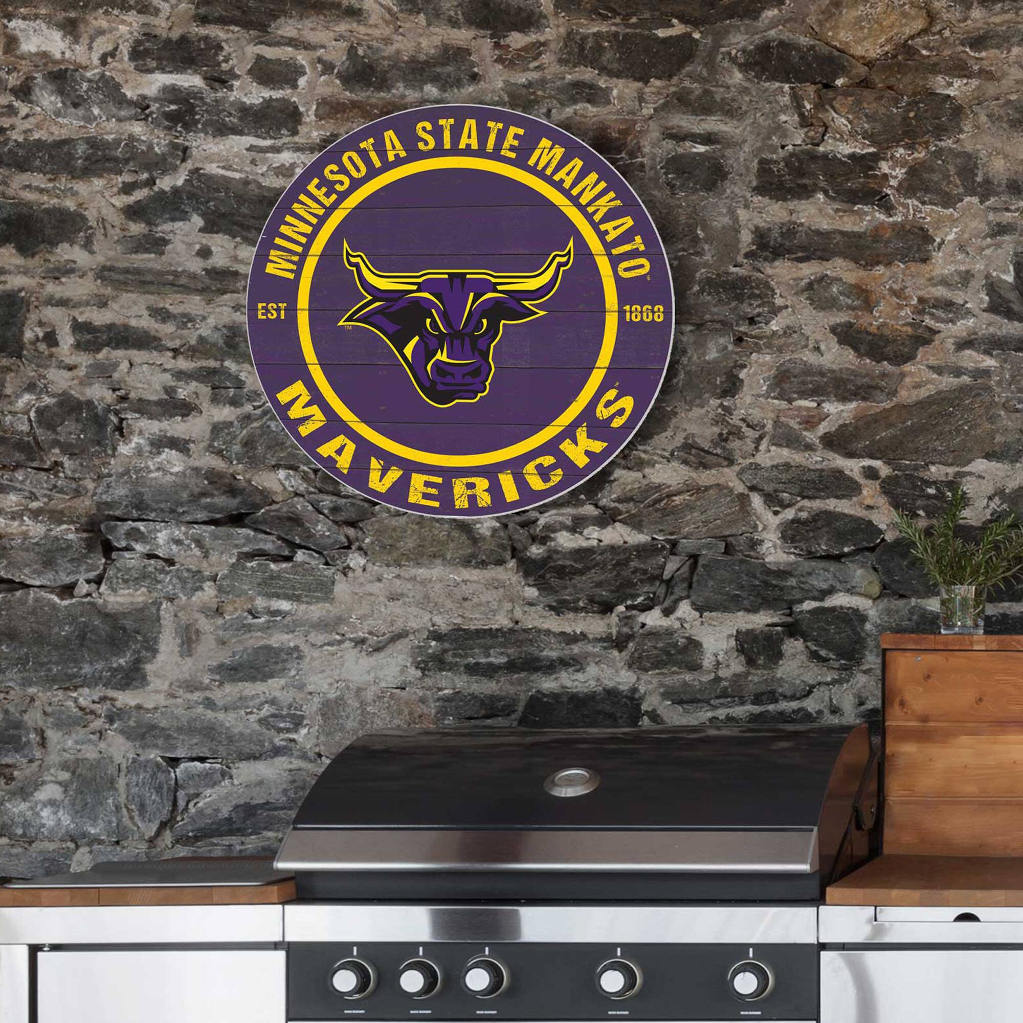 Jardine Minnesota State Mavericks 20'' x 20'' Indoor/Outdoor Circle ...