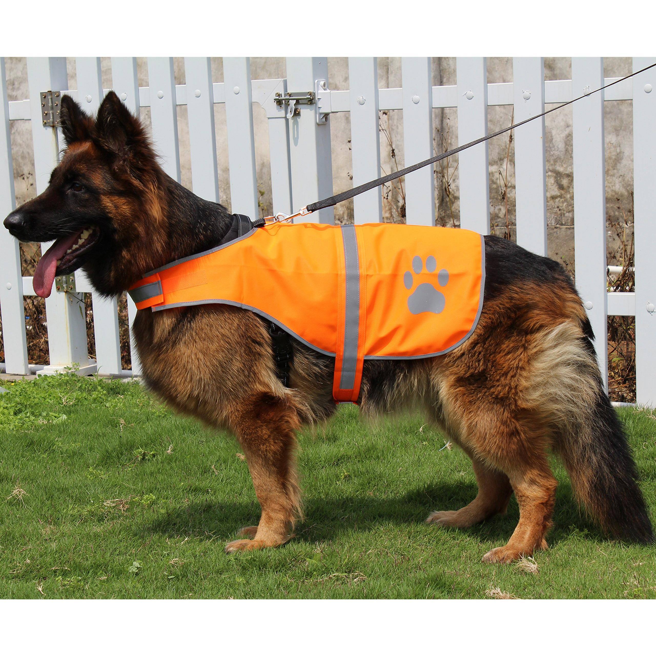 Paradigms Interiors Dog Reflective Vest High Visibility Safety Jacket ...