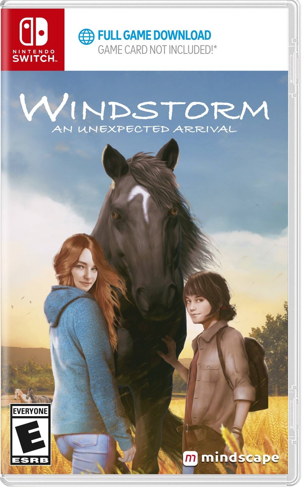 Windstorm: An Unexpected Arrival Nintendo Switch - Best Buy