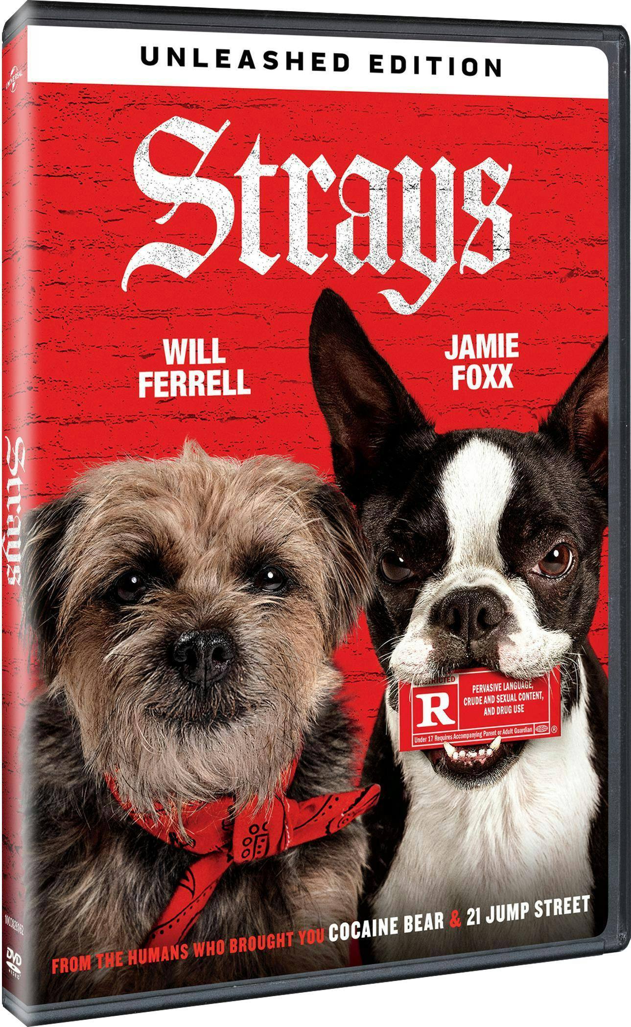Strays [DVD] [Standard] - Best Buy