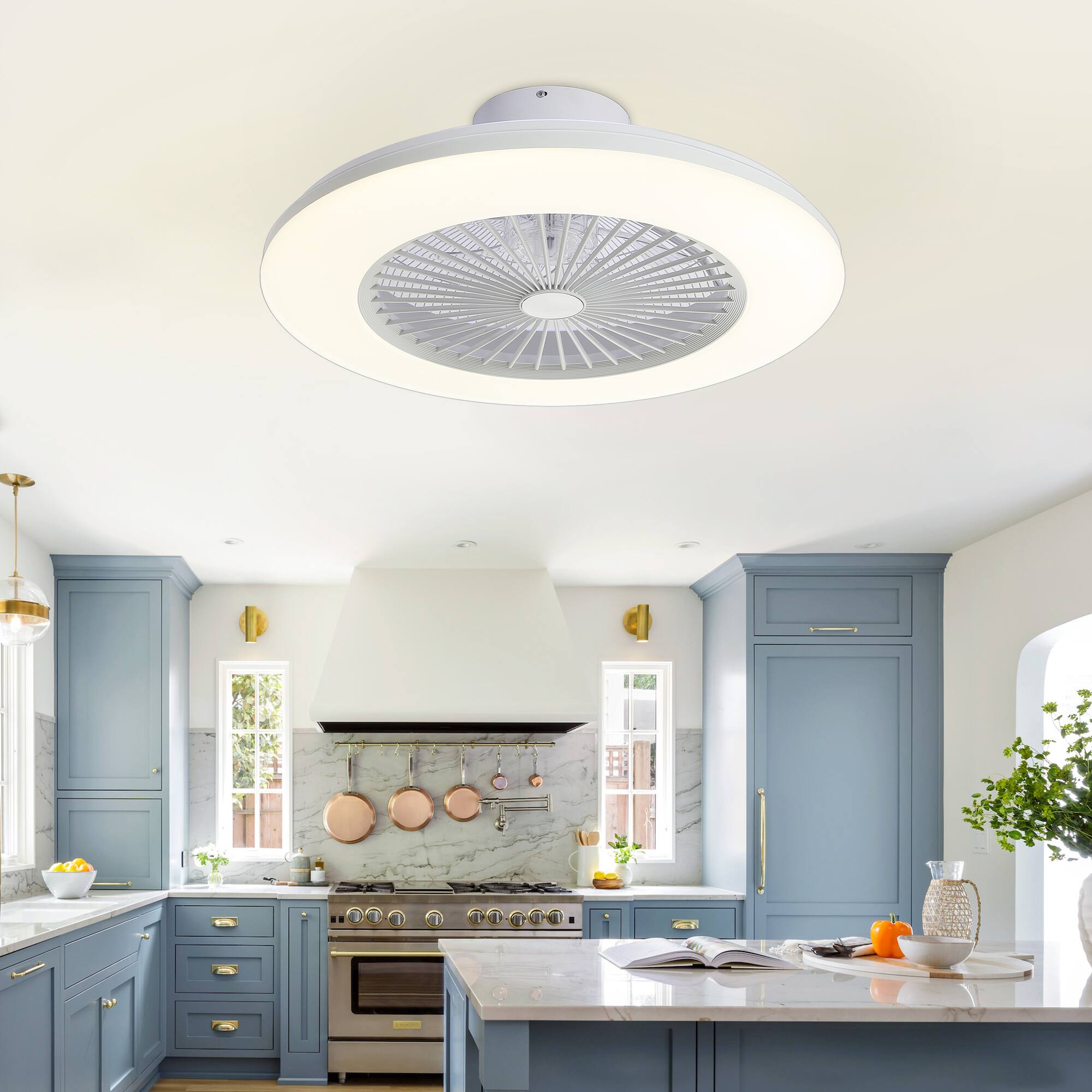 Breezary 22 Inch Flush Mount Ceiling Fan with LED RGB Light, 7 ...