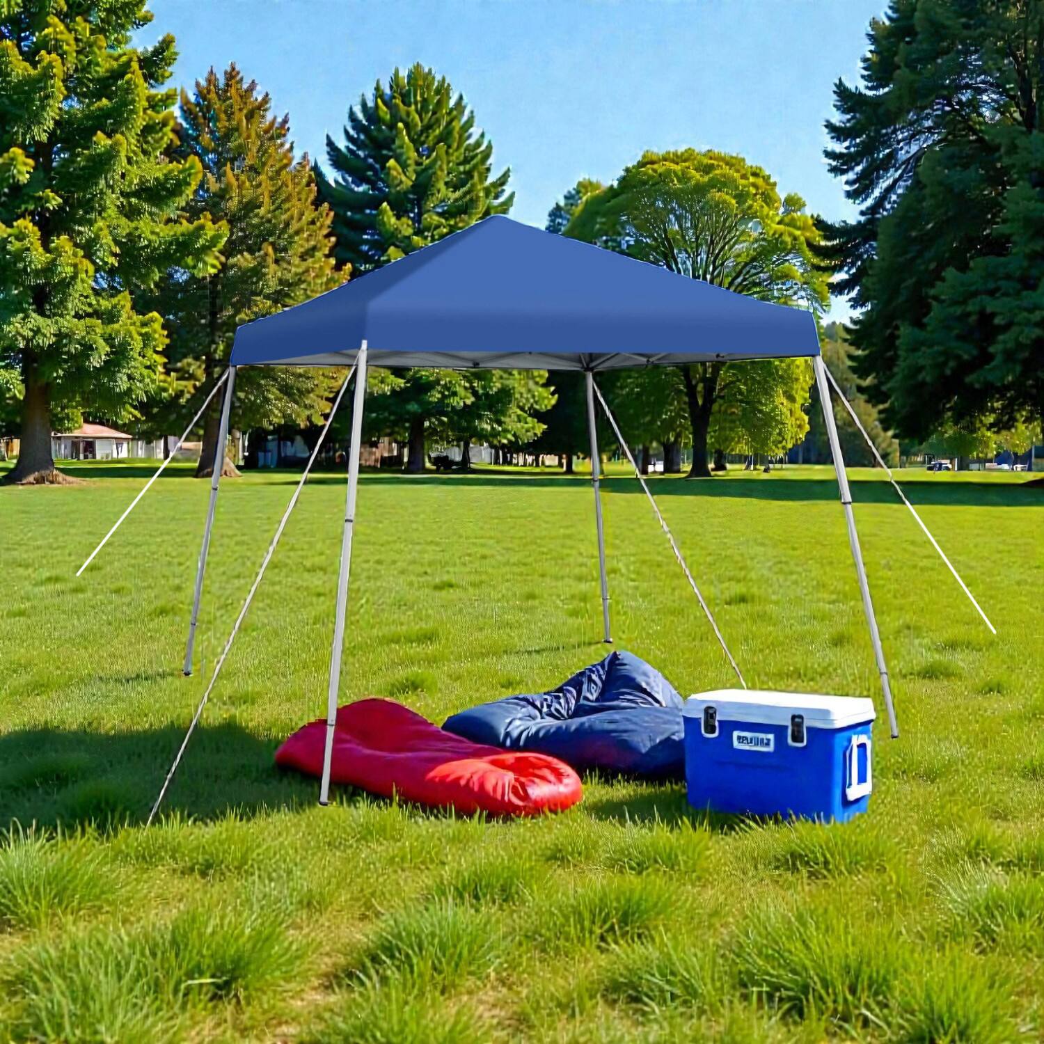 Hivvago 10x10 Ft Easy Assembly Canopy for Outdoor Events with Carry ...