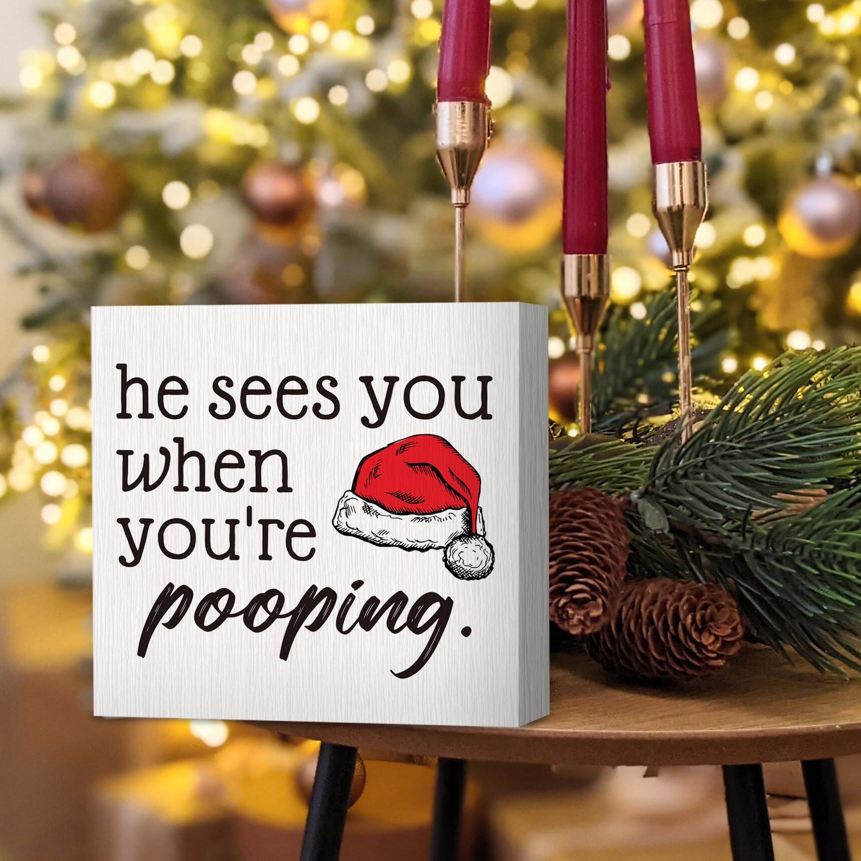 Paradigms Interiors Christmas Bathroom Decorations Funny Decor He Sees ...