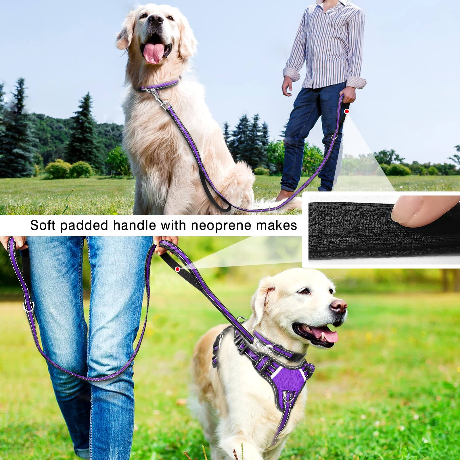 Paradigms Interiors Pet Harness Collar And Leash Set All in one ...