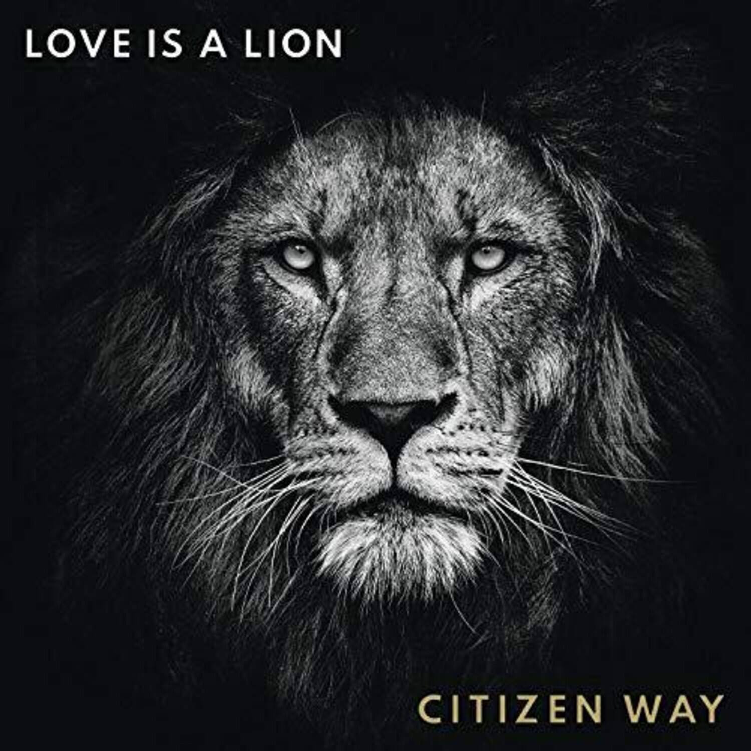 Citizen Way Love Is A Lion COMPACT DISCS [CD] - Best Buy