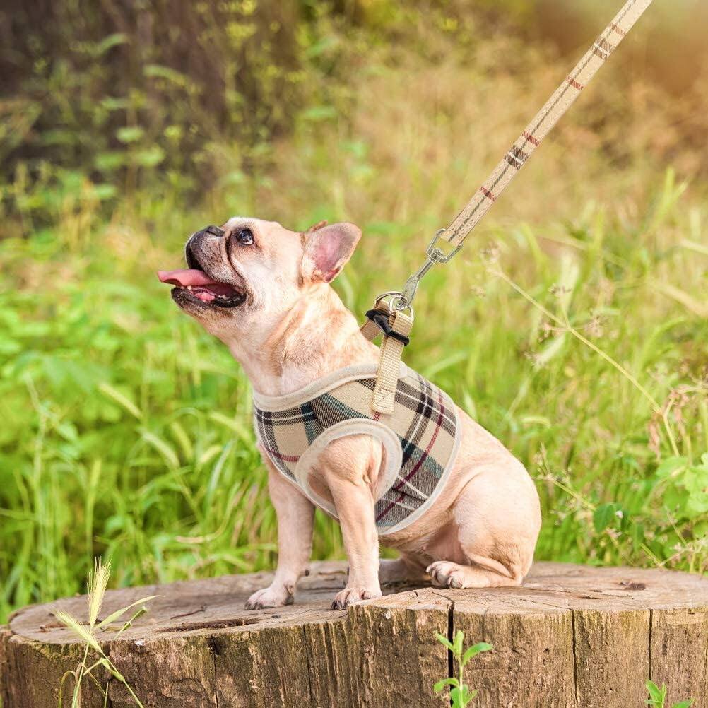 Paradigms Interiors Soft Mesh Dog Harness And Leash Set Step in Plaid Puppy Padded No Pull Vest ...