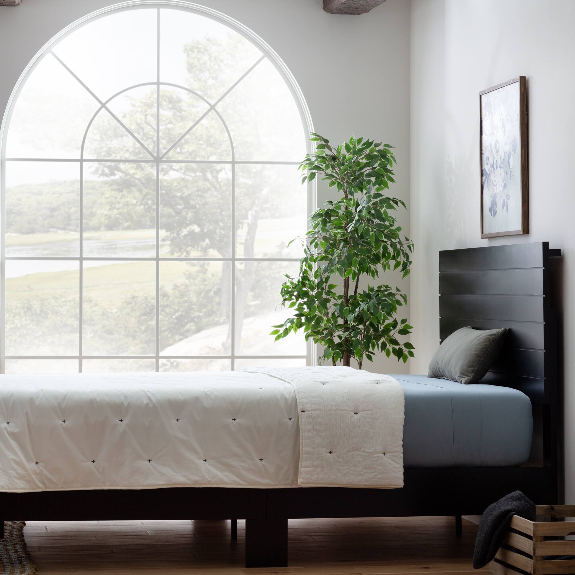 Best Buy: Brookside Mabel Shiplap Twin Bed Frame Black BS00A1LBDTTBK