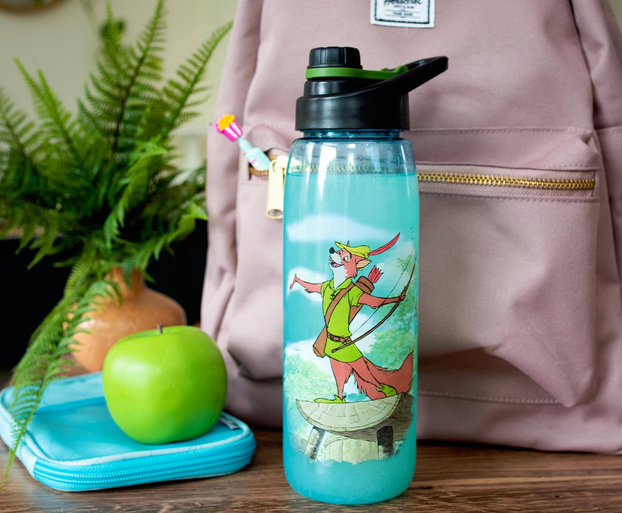 Silver Buffalo Disney Robin Hood "What A Good Day" Water Bottle with ...