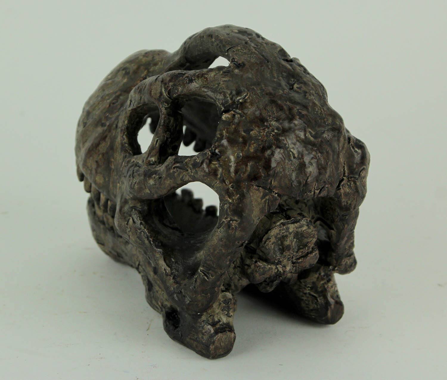 Zeckos 6 inch Brachiosaurus Dinosaur Skull Fossil Statue Resin Office ...