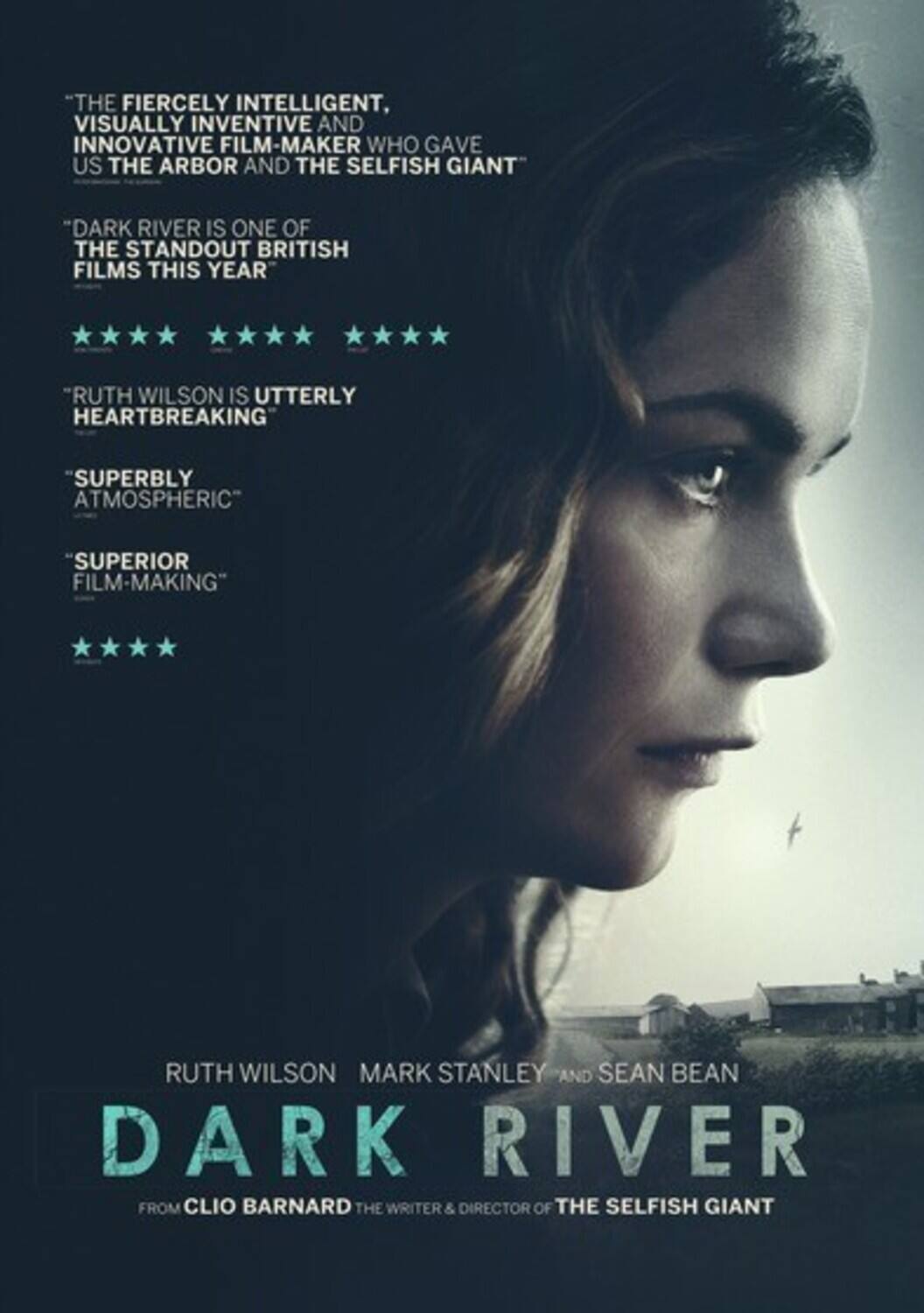 Dark River DVD - Best Buy