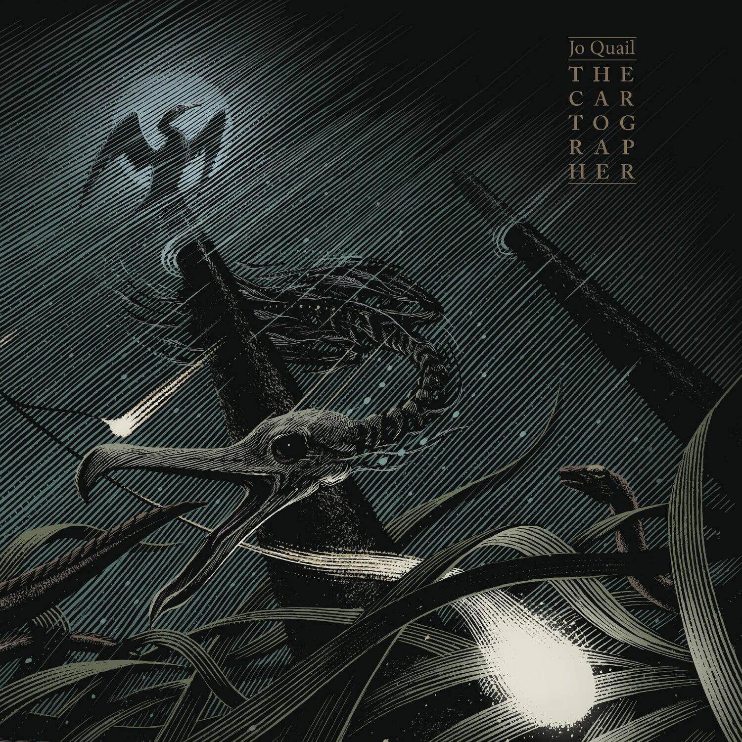 Jo Quail The Cartographer COMPACT DISCS [CD] - Best Buy