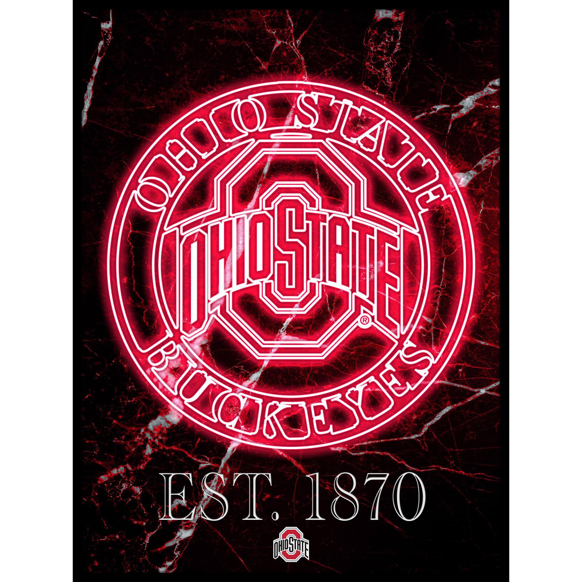 Fan Creations Ohio State Buckeyes 12'' x 16'' Framed Circle Logo Print ...