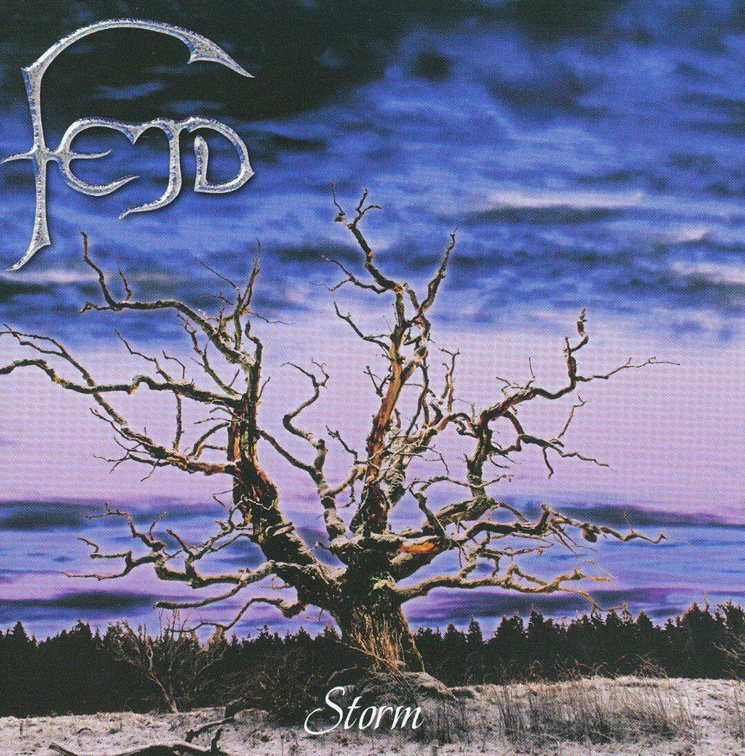 Best Buy: Storm [CD]