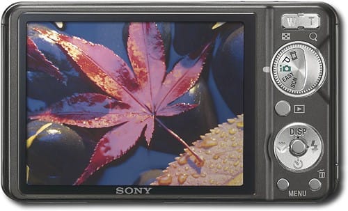 Best Buy: Sony Cyber-shot 12.1-Megapixel Digital Camera Black DSC-W290/B