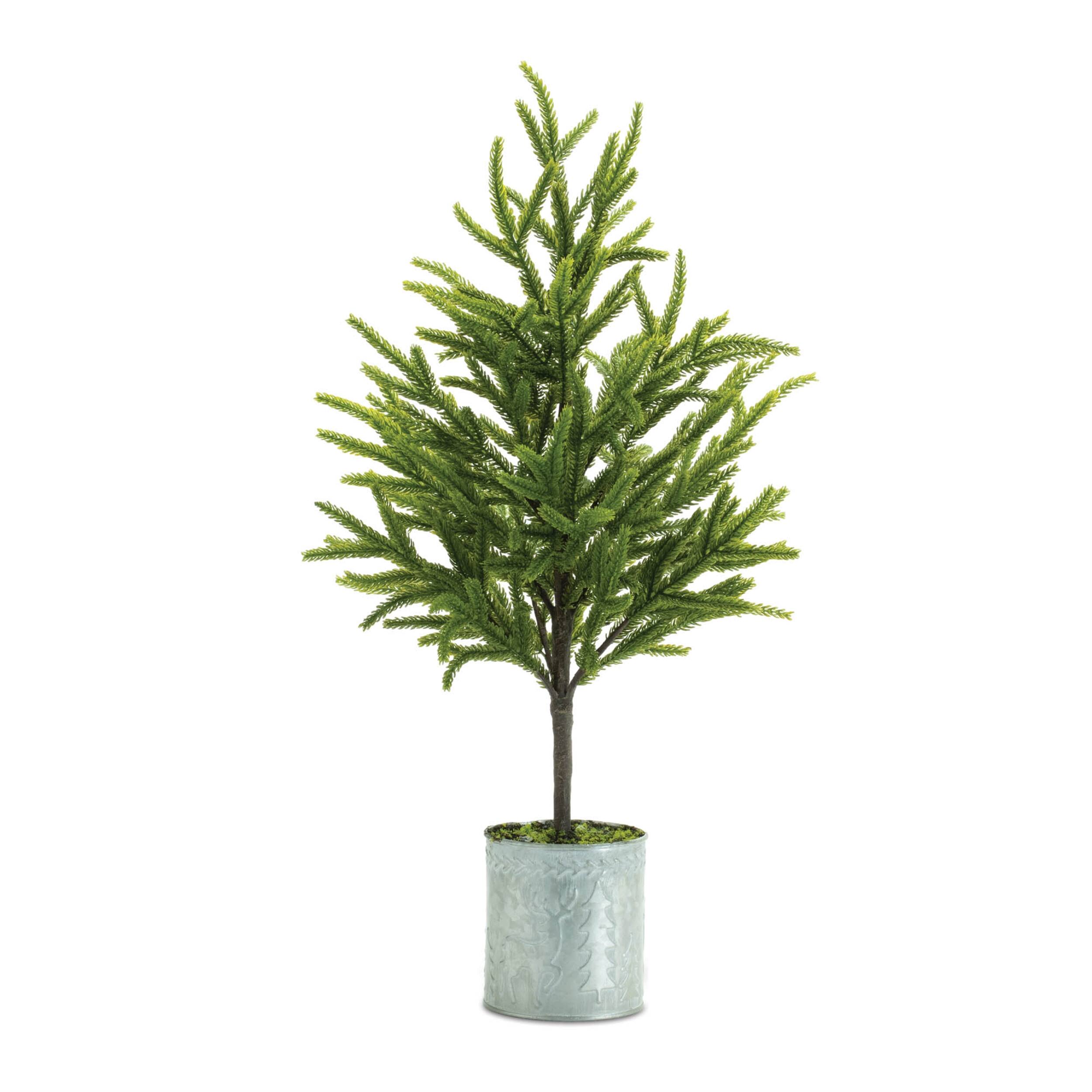 BreeBe Potted Mini Pine Tree (Set of 2) Green, Brown 95084DS - Best Buy