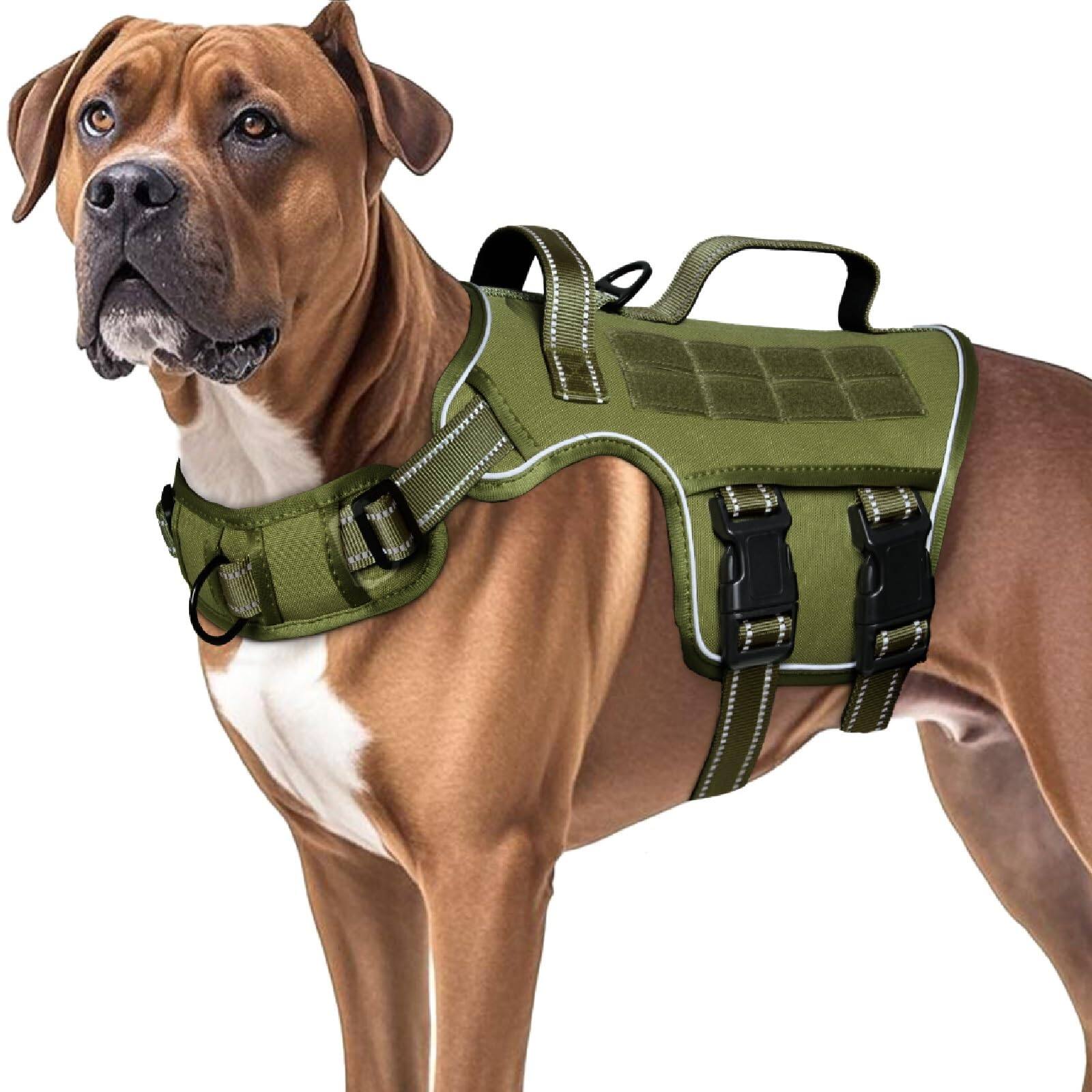 Paradigms Interiors Dog Harness For Dogs No Pull With Molle System Easy ...