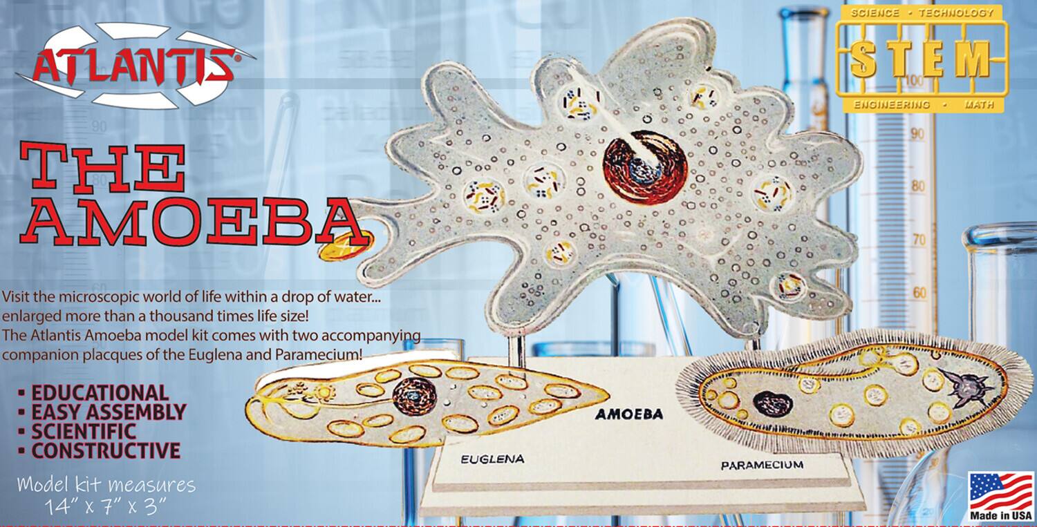 PopMarket Atlantis STEM Model Kit The Amazing Amoeba COLLECTIBLES ...