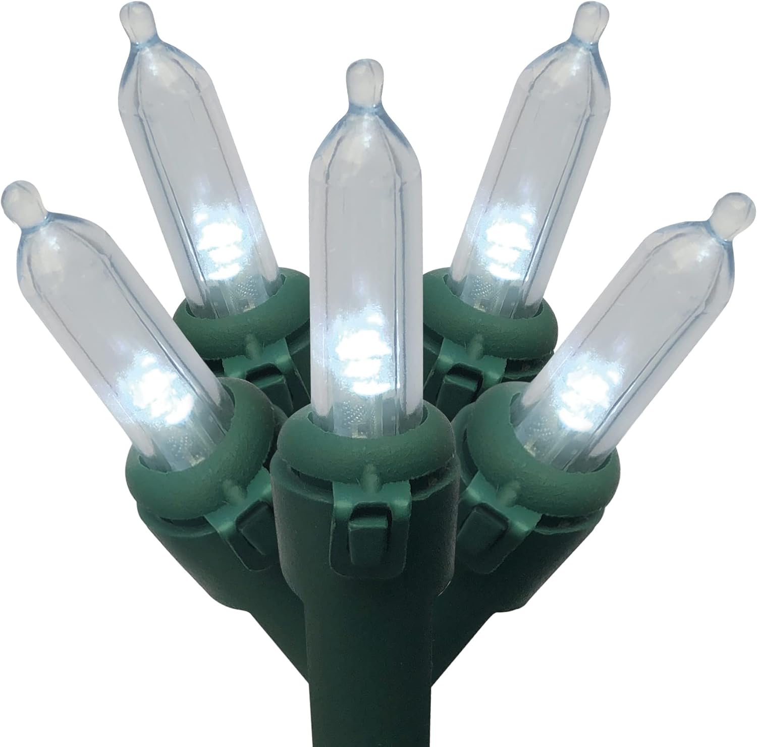 PARKER SLATER 50 Count Mini LED Light Set, Pure White, Traditional ...