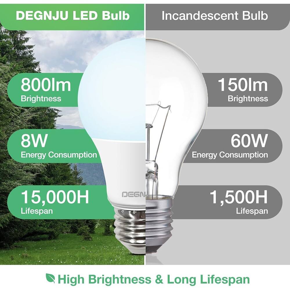 Schertz 24 Pieces A19 LED Light Bulbs, E26 Base, 800 Lumens, 8W and Daylight 5000K ‎JZ-MGA19 ...