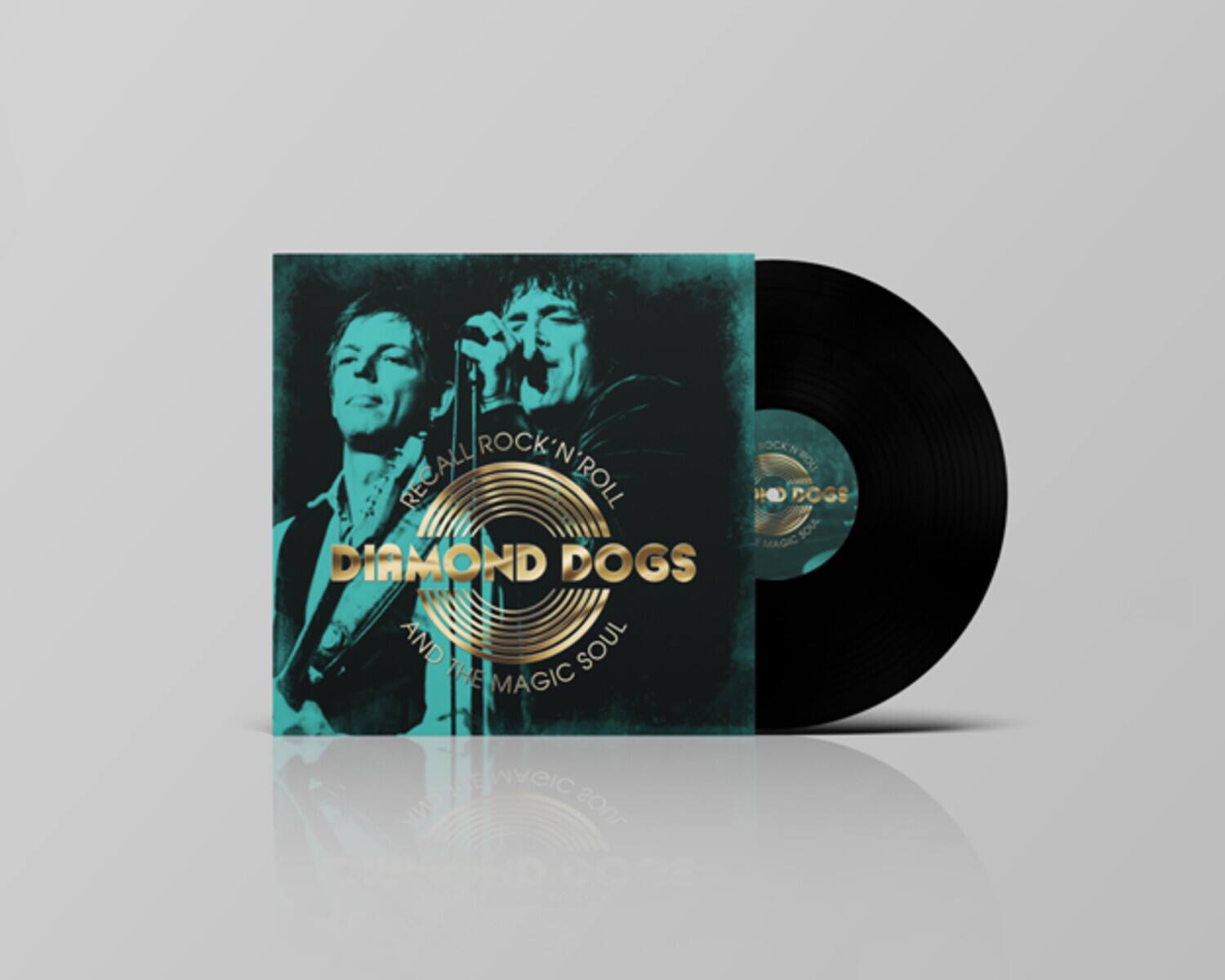 Diamond Dogs Recall Rock N Roll And The Magic Soul VINYL LP - Best Buy