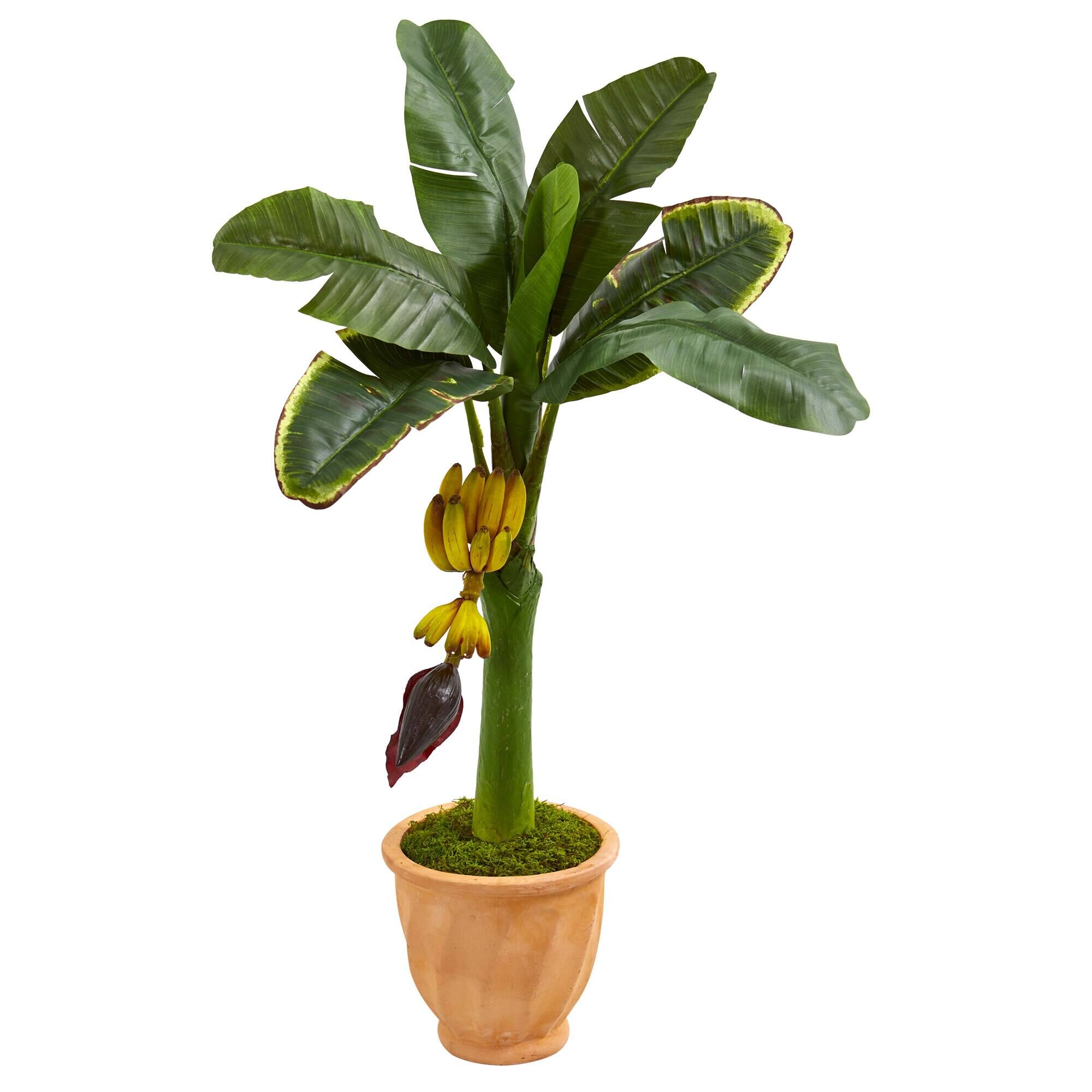 BreeBe 3' Banana Artificial Tree in Terracotta Planter Green 5796 ...