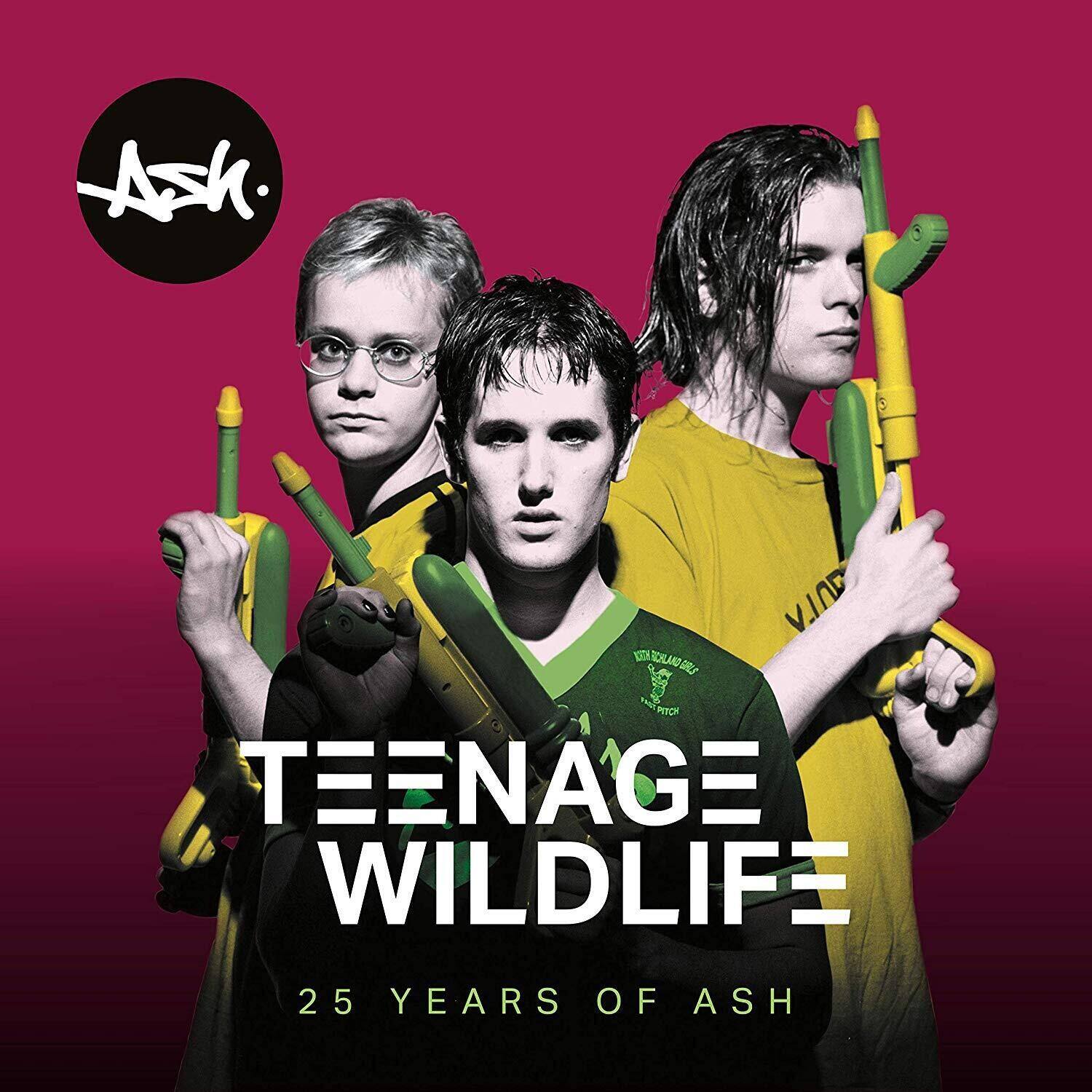 Ash Teenage Wildlife 25 Years Of Ash VINYL LP - Best Buy