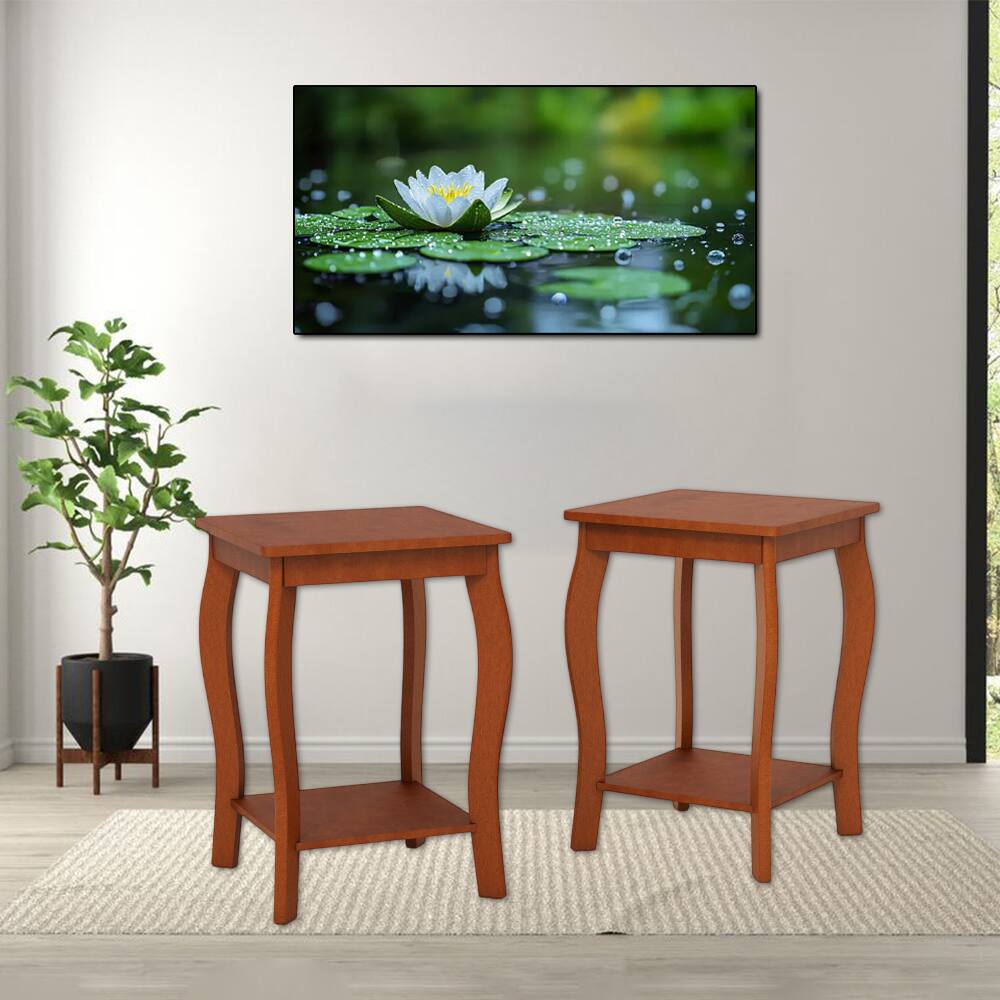 Hivvago Set of 2 Modern Square Side Tables with Two Tier Storage ...
