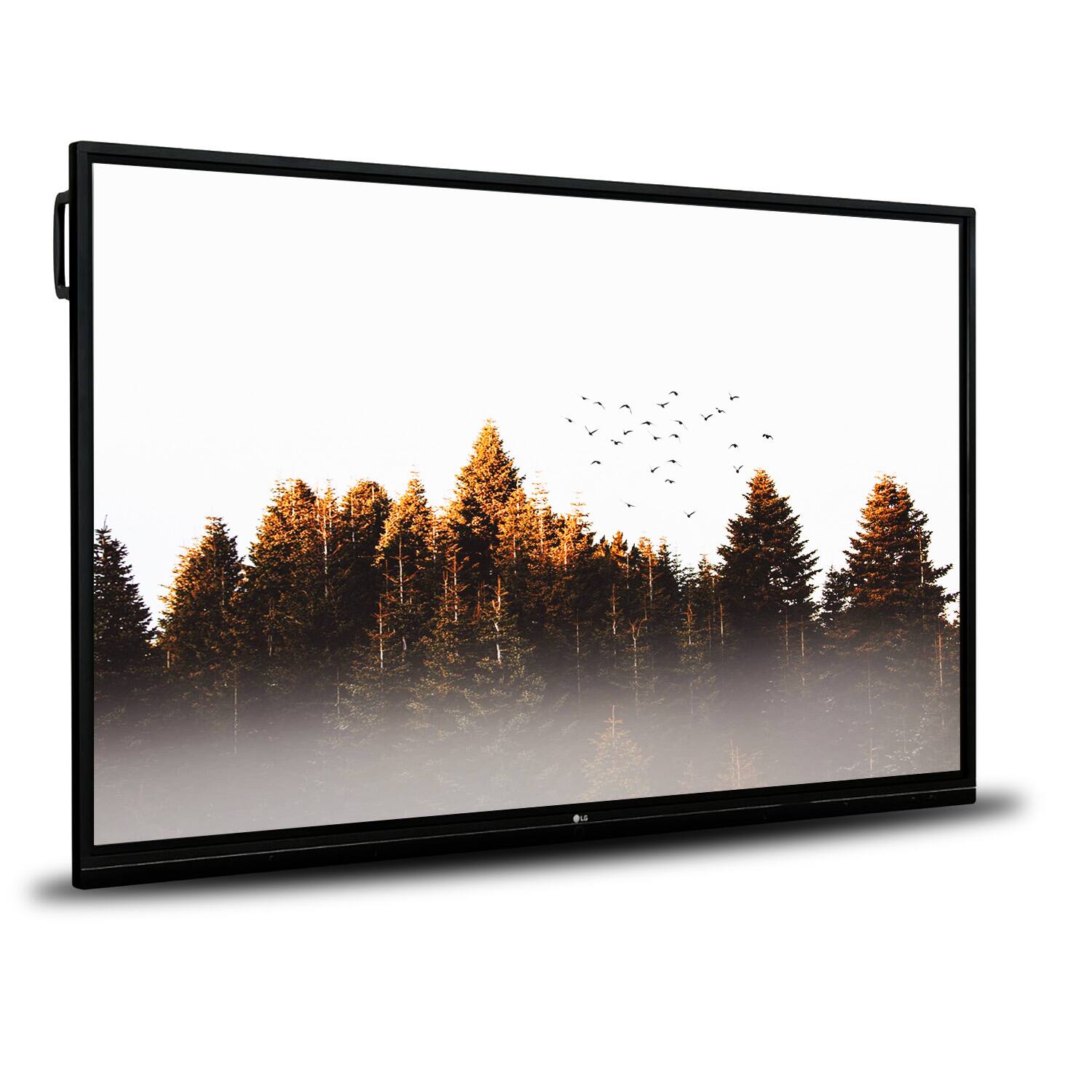 LG 65" TR3BF B Series IR Multi Touch Point UHD IPS Digital Display ...