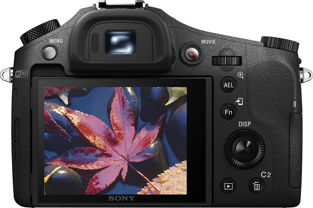 Customer Reviews: Sony Cyber-shot RX10 II 20.2-Megapixel Digital Camera ...