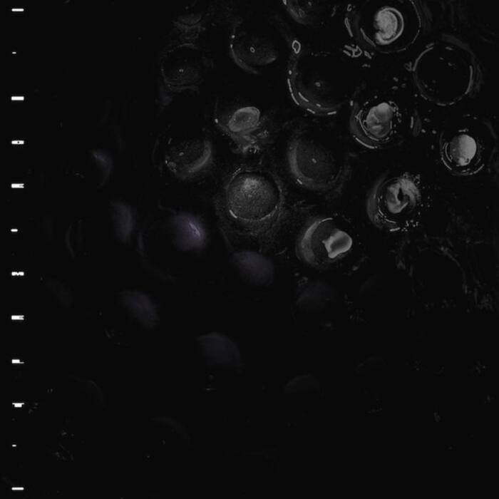 Ice Melt [LP] [VINYL] - Best Buy