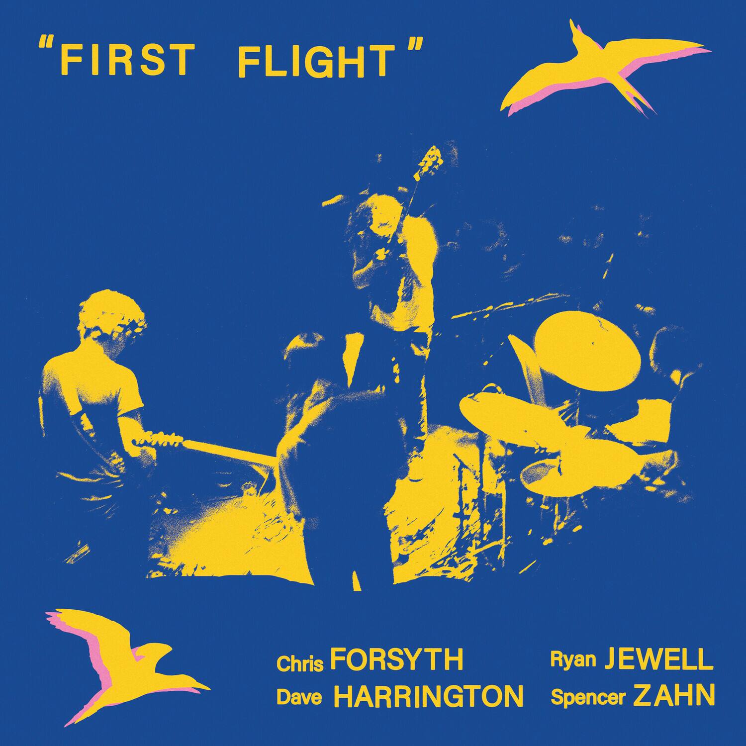 Chris Forsyth First Flight (Solar Live Vol. 5) VINYL LP - Best Buy