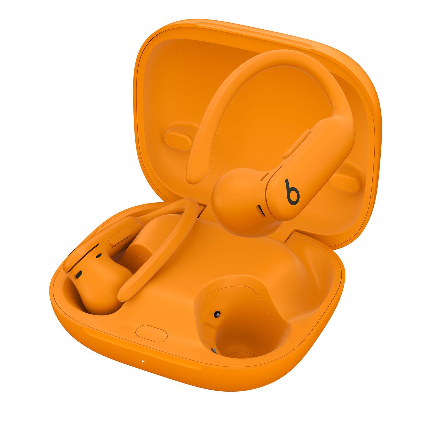 Beats Powerbeats Pro 2 True Wireless Active Noise Canceling Earbuds ...