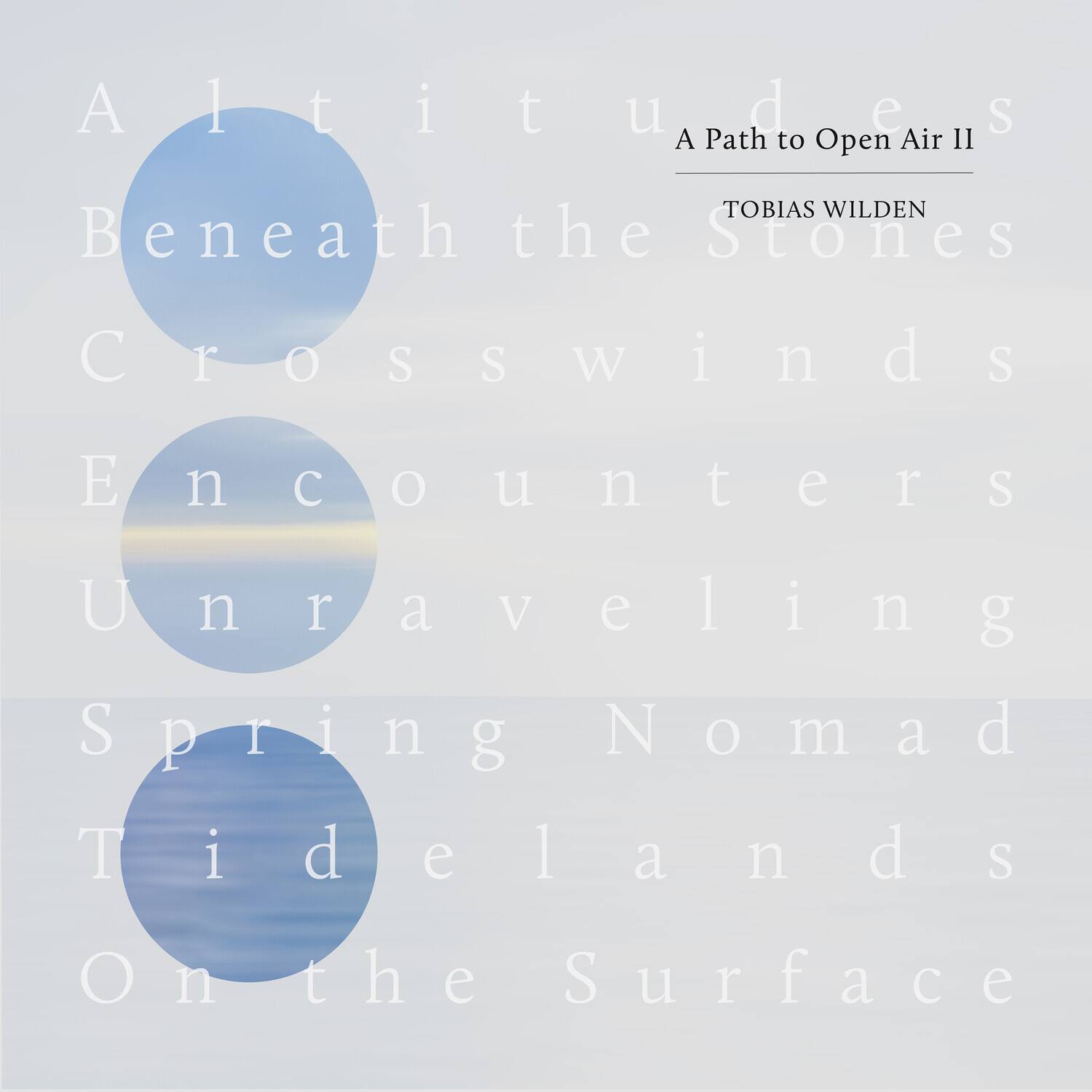 Tobias Wilden A Path To Open Air II VINYL LP - Best Buy