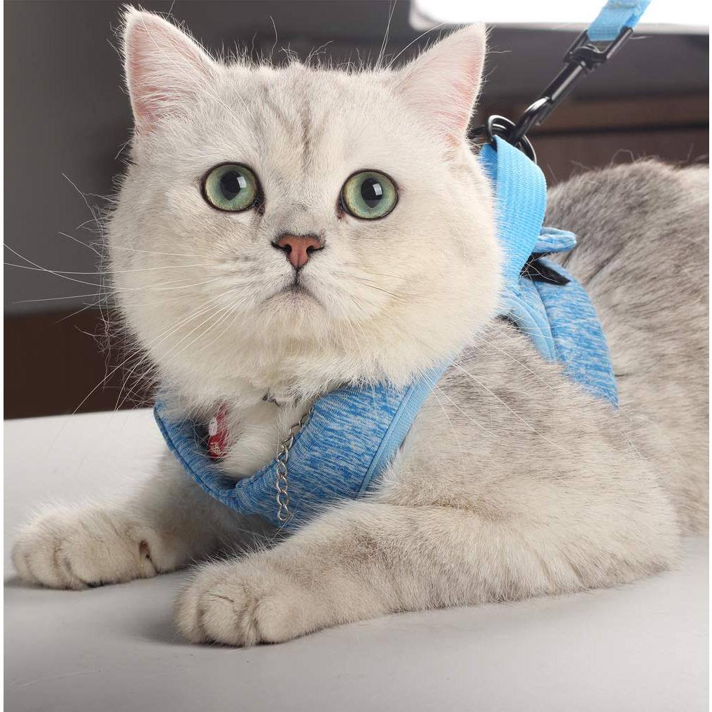 Paradigms Interiors Cat Harness And Leash Ultra Light Escape Proof ...