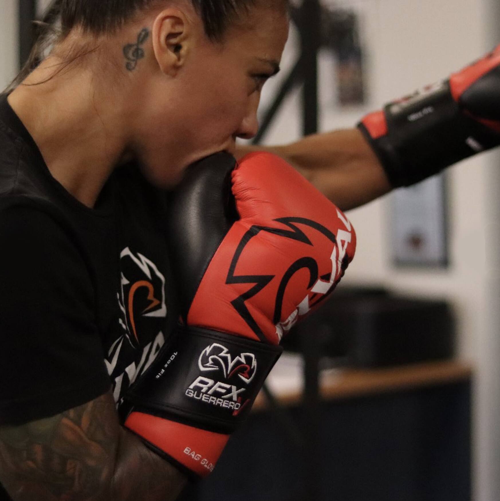 RIVAL Boxing RFX Guerrero V HDEF Bag Gloves 8 oz. Gray/Gold RFX-G-V-HDE ...