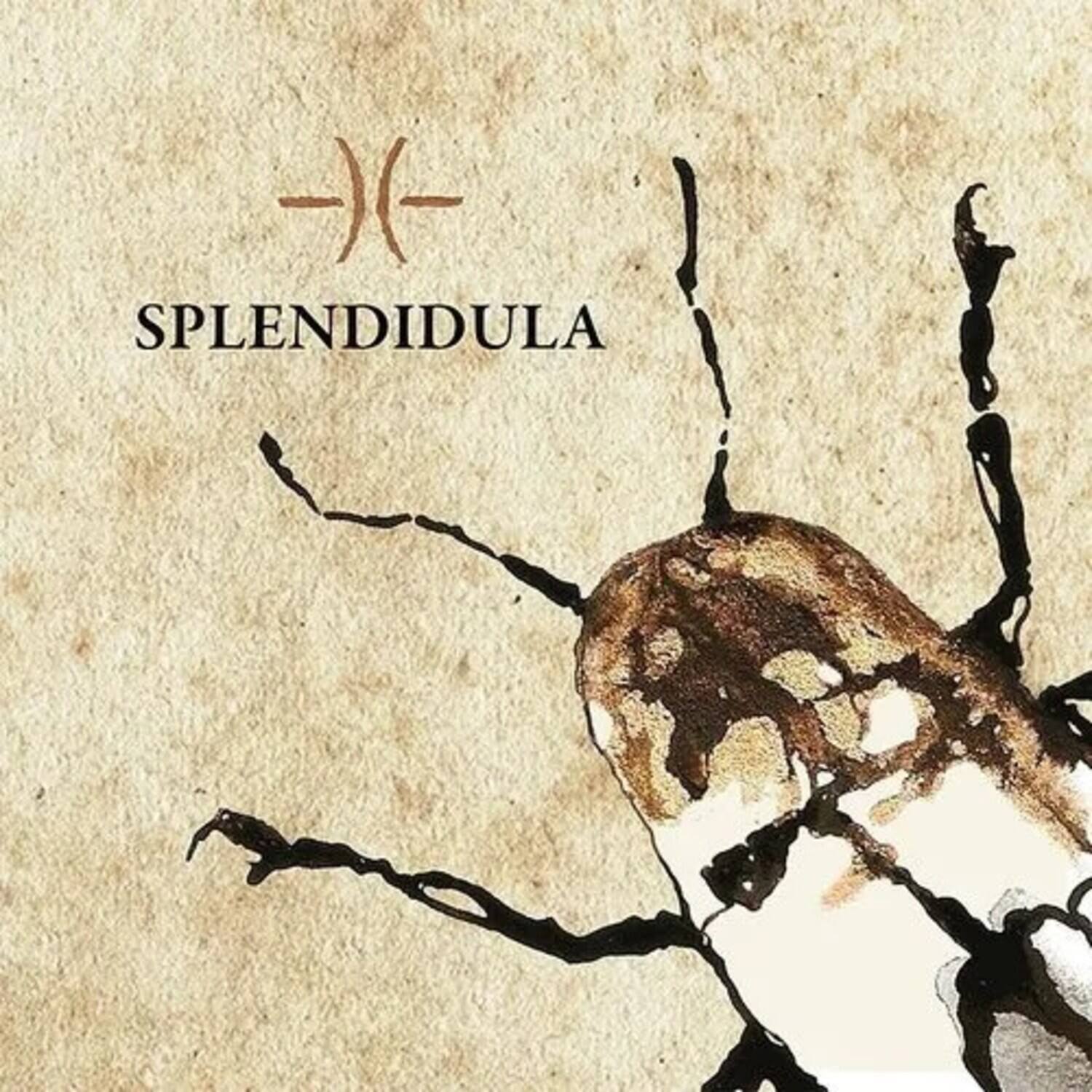 Splendidula Splendidula COMPACT DISCS [CD] - Best Buy