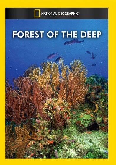 Forest of the Deep [DVD] - Best Buy