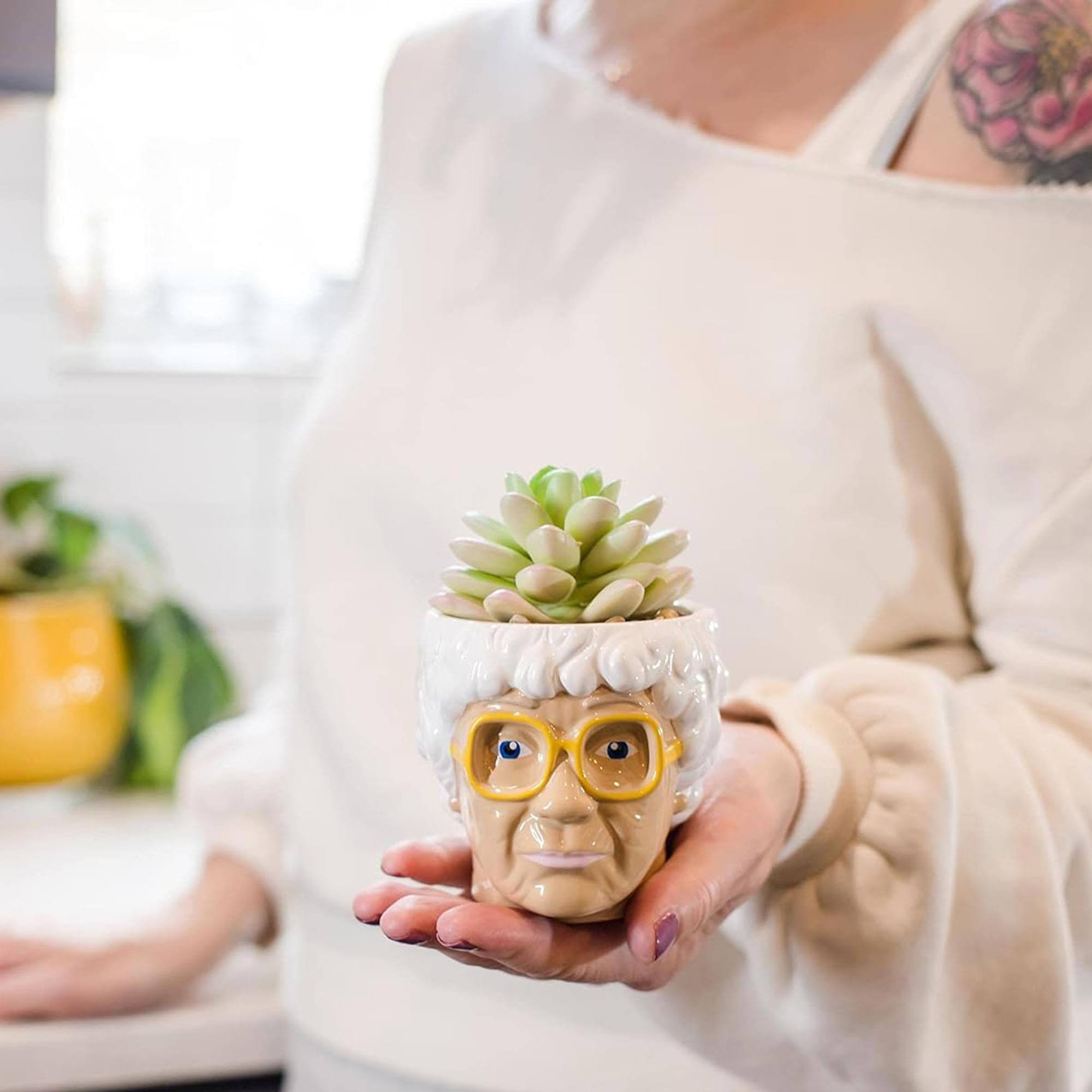 Silver Buffalo The Golden Girls Face Mini Ceramic Planter With Faux ...