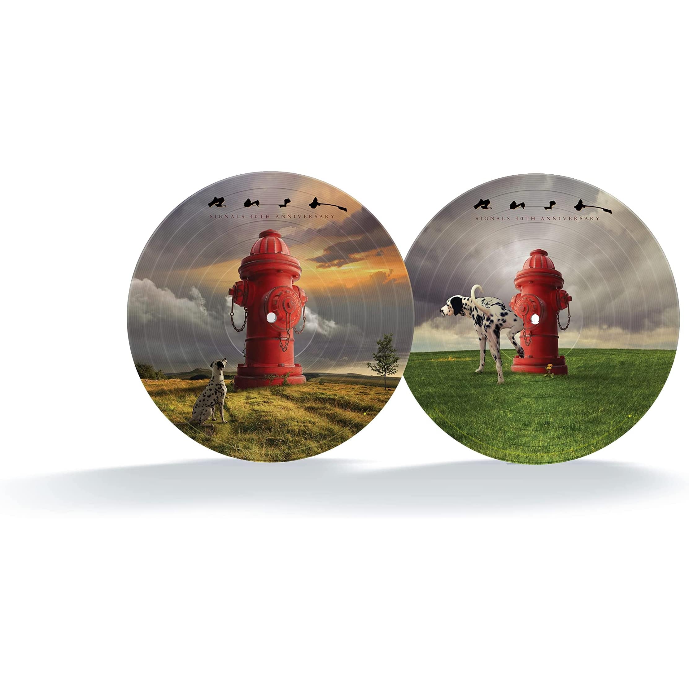 Customer Reviews: Signals [40th Anniversary Edition] [Picture Disc ...