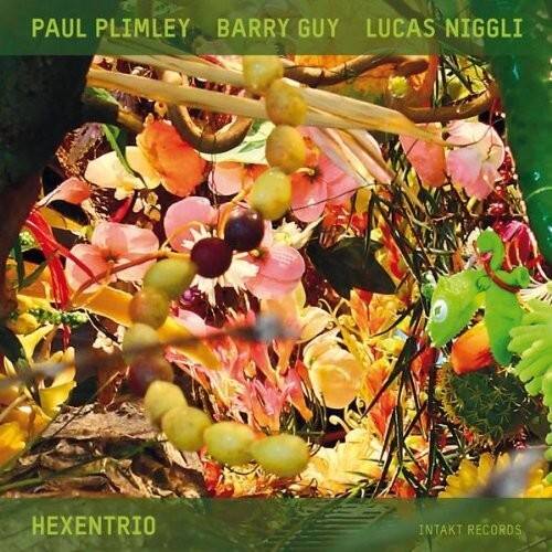 Barry Guy Hexentrio COMPACT DISCS [CD] - Best Buy