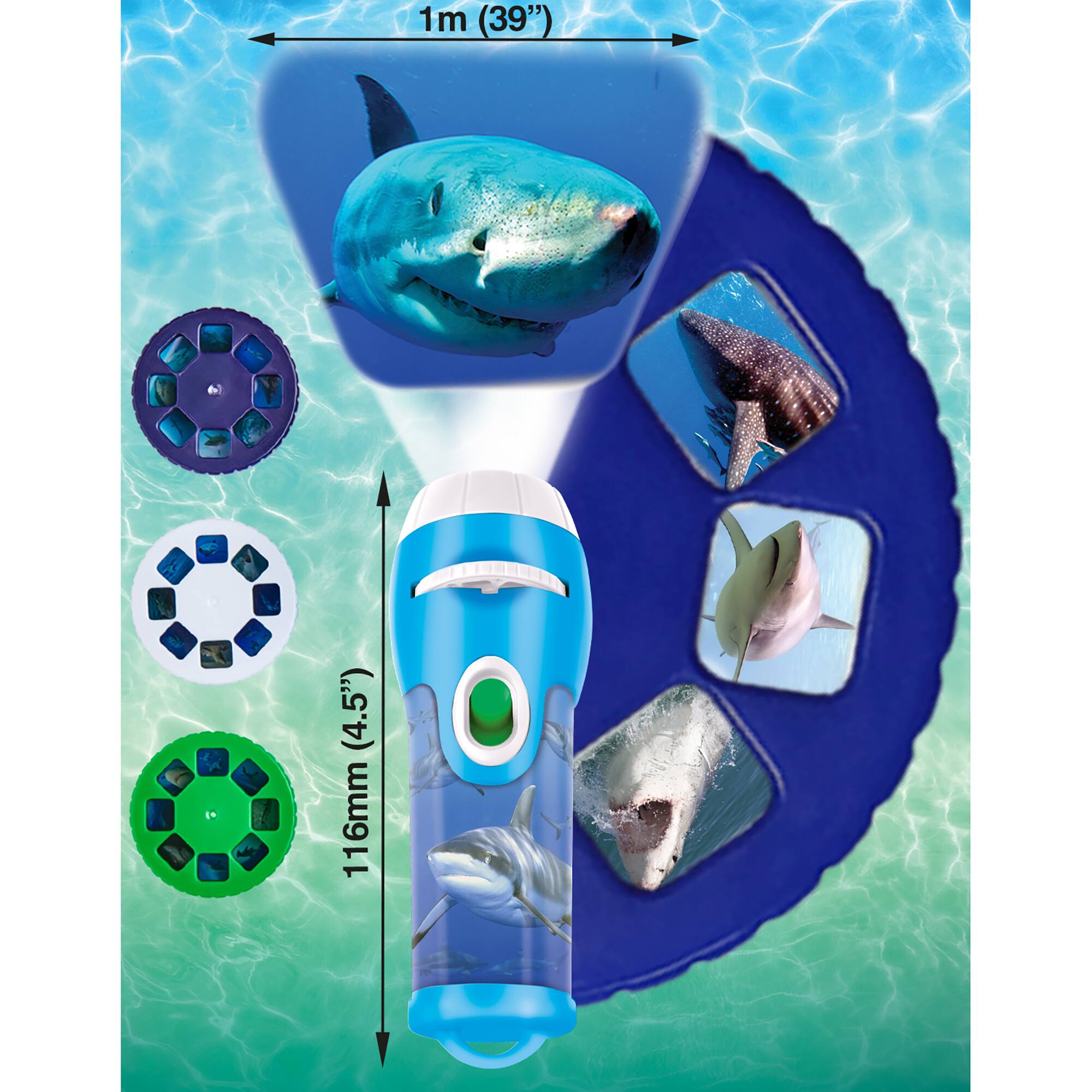 Brainstorm Limited Brainstorm Toys: Shark Torch & Projector Ages 3 ...