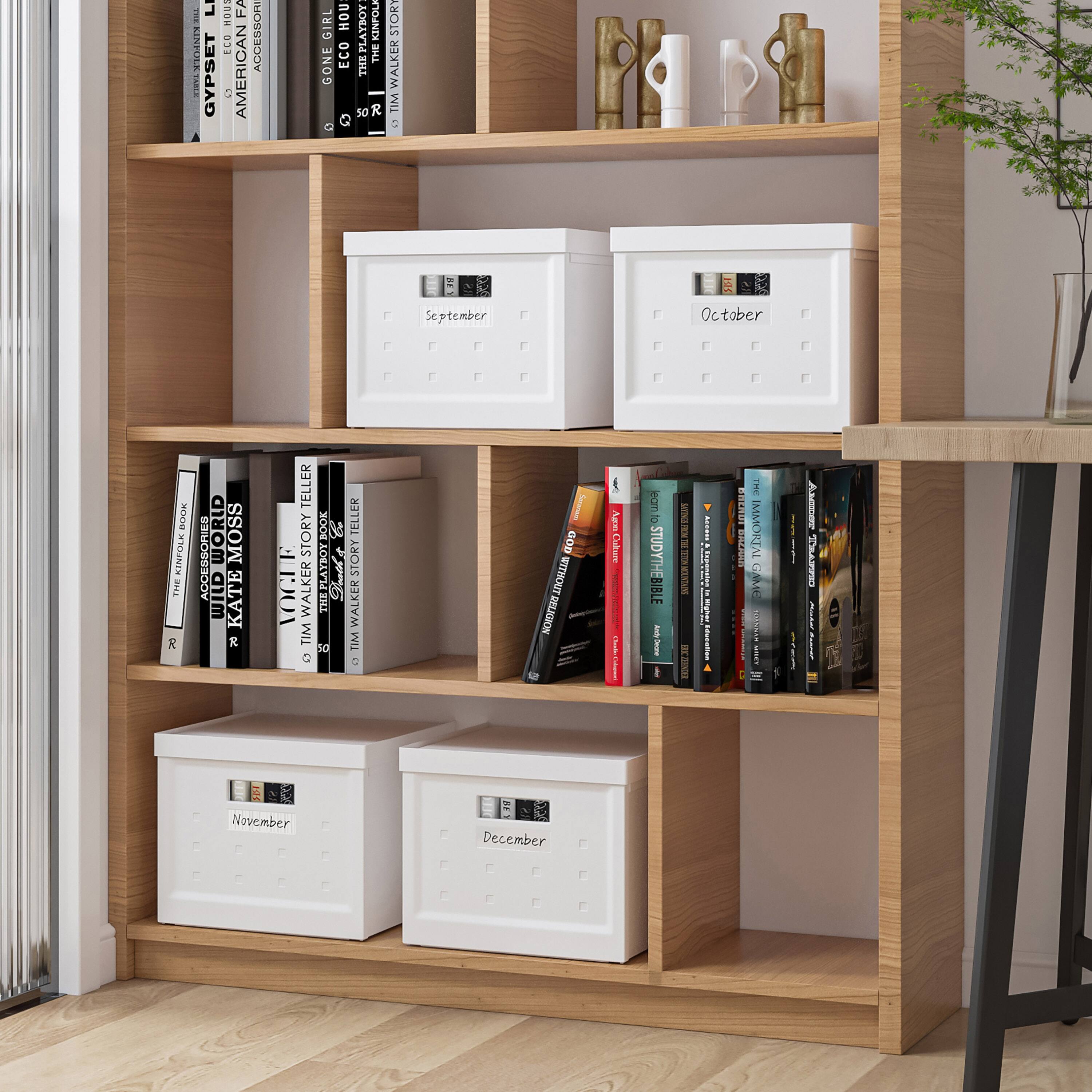 TinyHomie Set of 2 Collapsible Stackable Storage Box with Lids for Home ...
