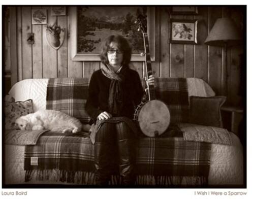 Laura Baird I Wish I Were A Sparrow VINYL LP - Best Buy