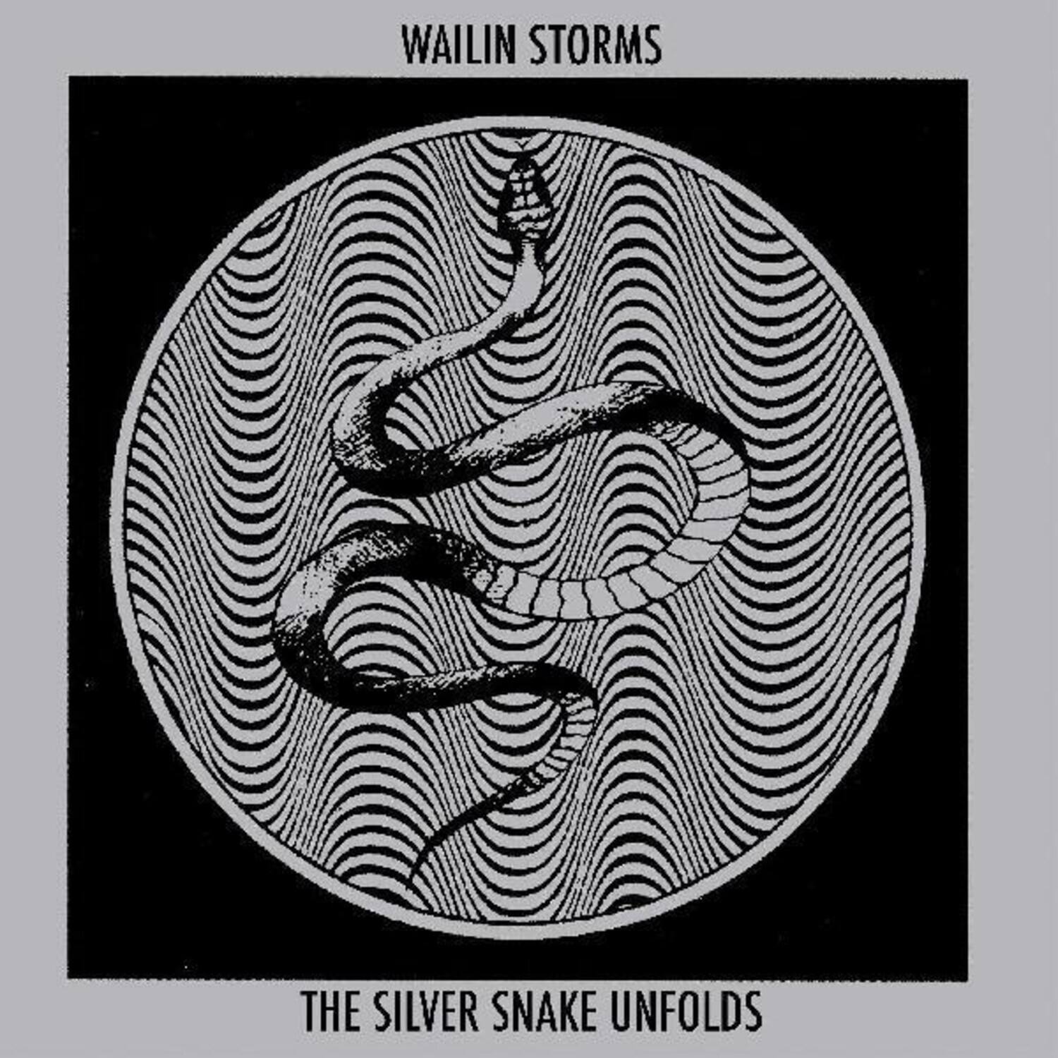 Wailin Storms The Silver Snake Unfolds VINYL LP - Best Buy